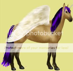 Banner decorations | Howrse