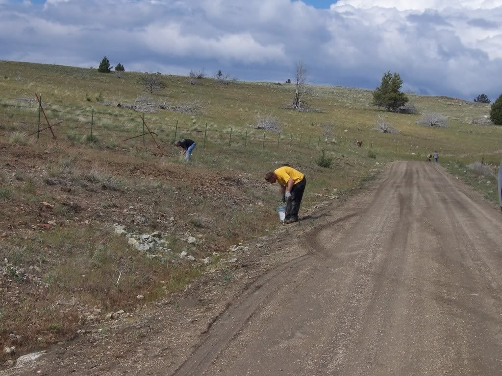 Photo's from my many travels digging Thundereggs